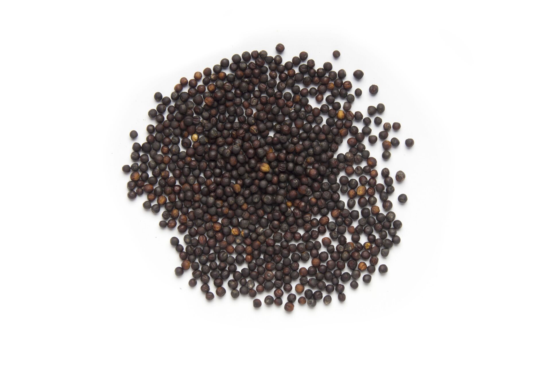 Brukev řepka olejka - Národní zemědělské muzeum, s. p. o.