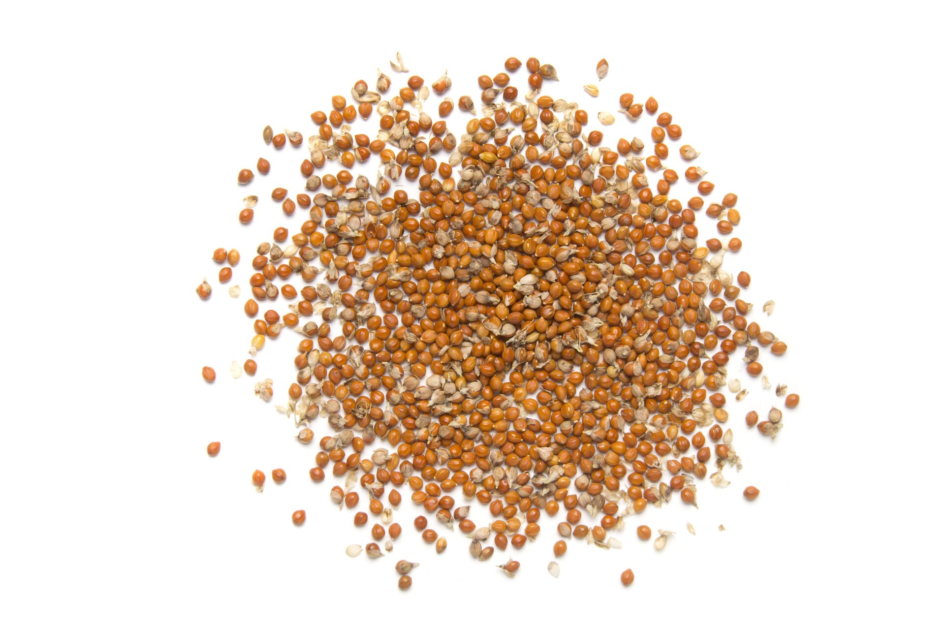 Proso seté - Národní zemědělské muzeum, s. p. o.