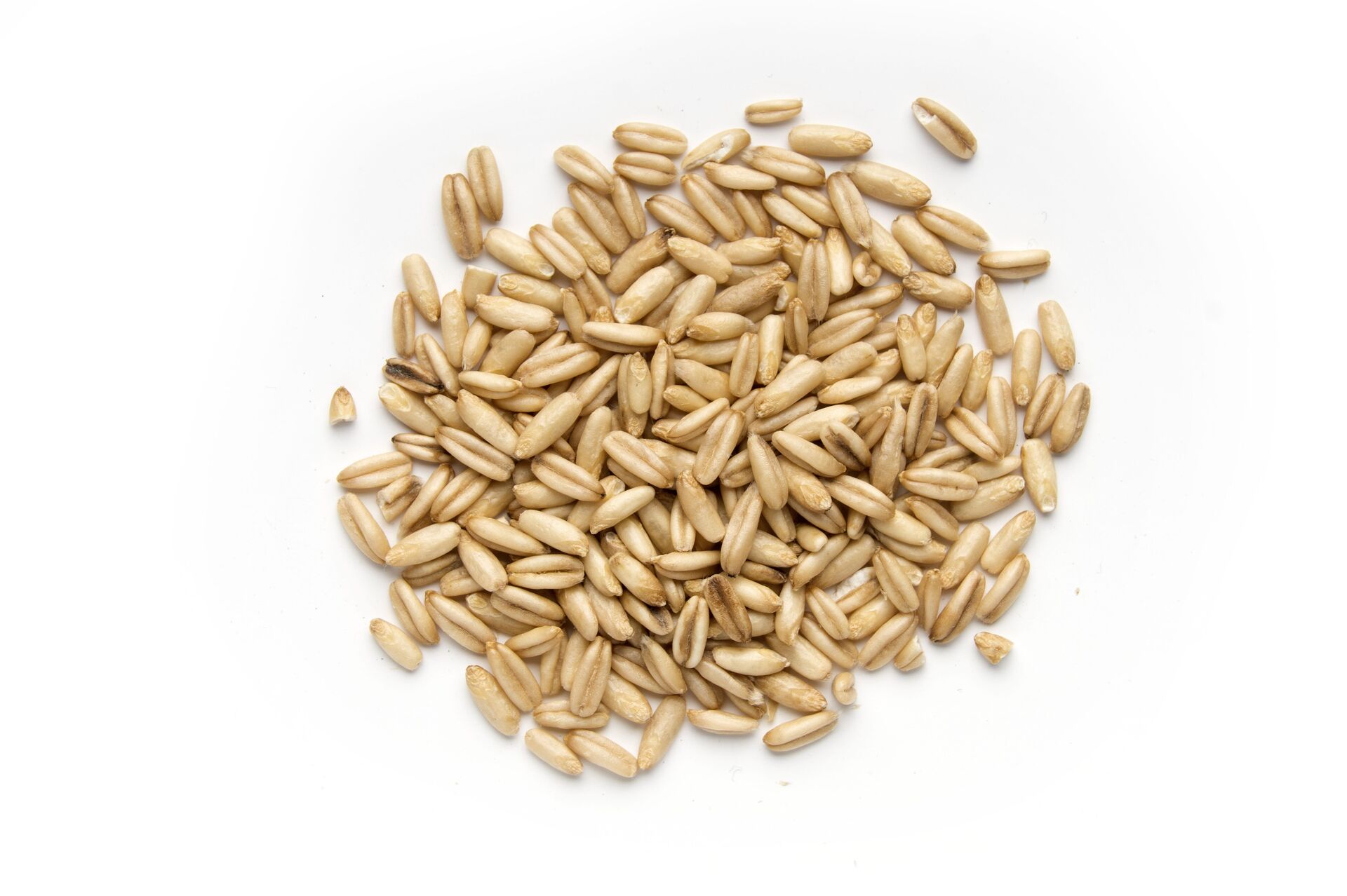 Oves setý - Národní zemědělské muzeum, s. p. o.